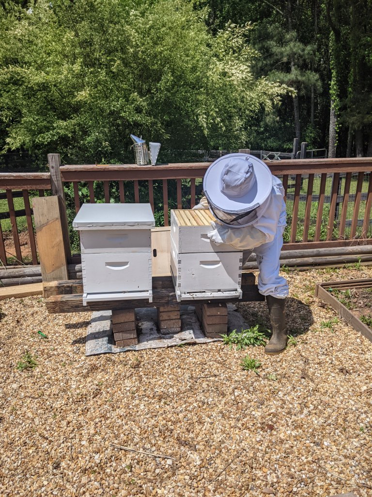 Beekeeping Terms - Short Girl Farm & Flair